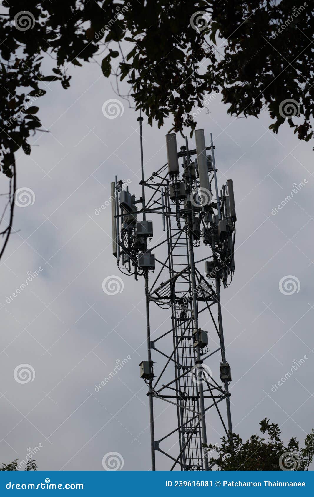 Large Steel Pole Telecommunication Transport System Internet 3g 4g 5g ...