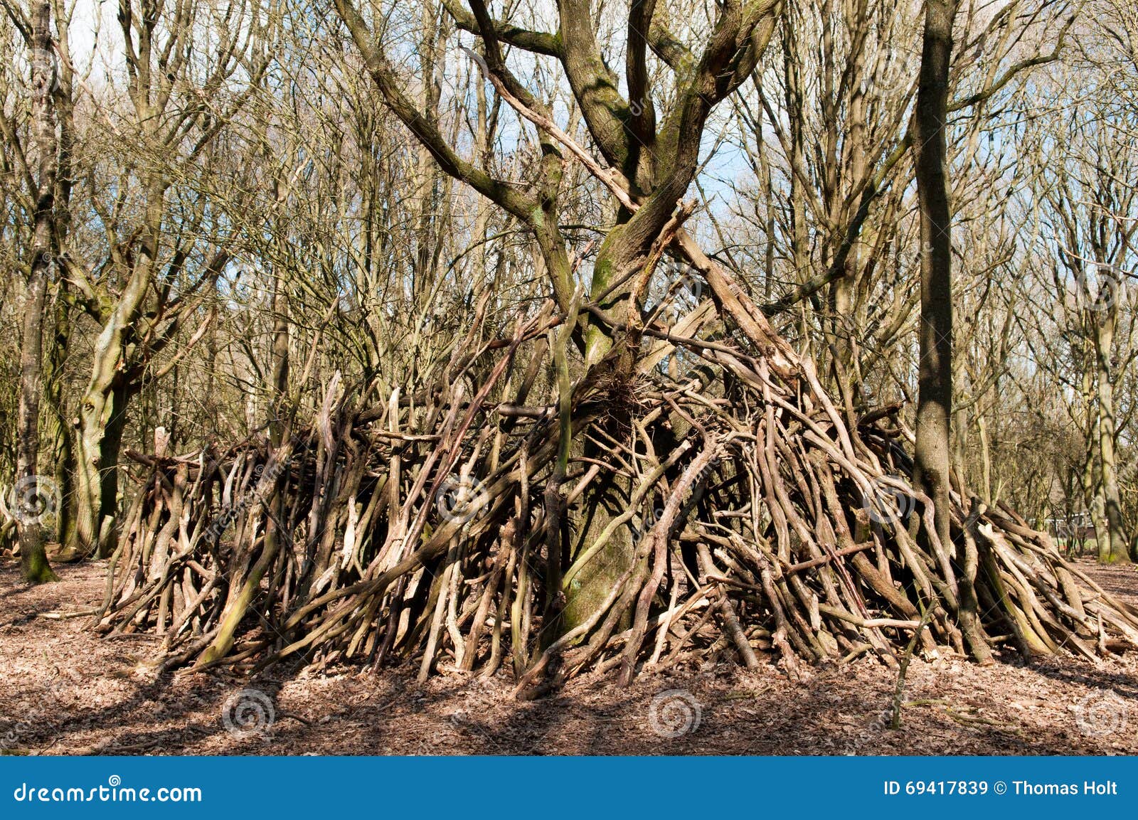 Large stick den stock image. Image of stick, tree, house - 69417839