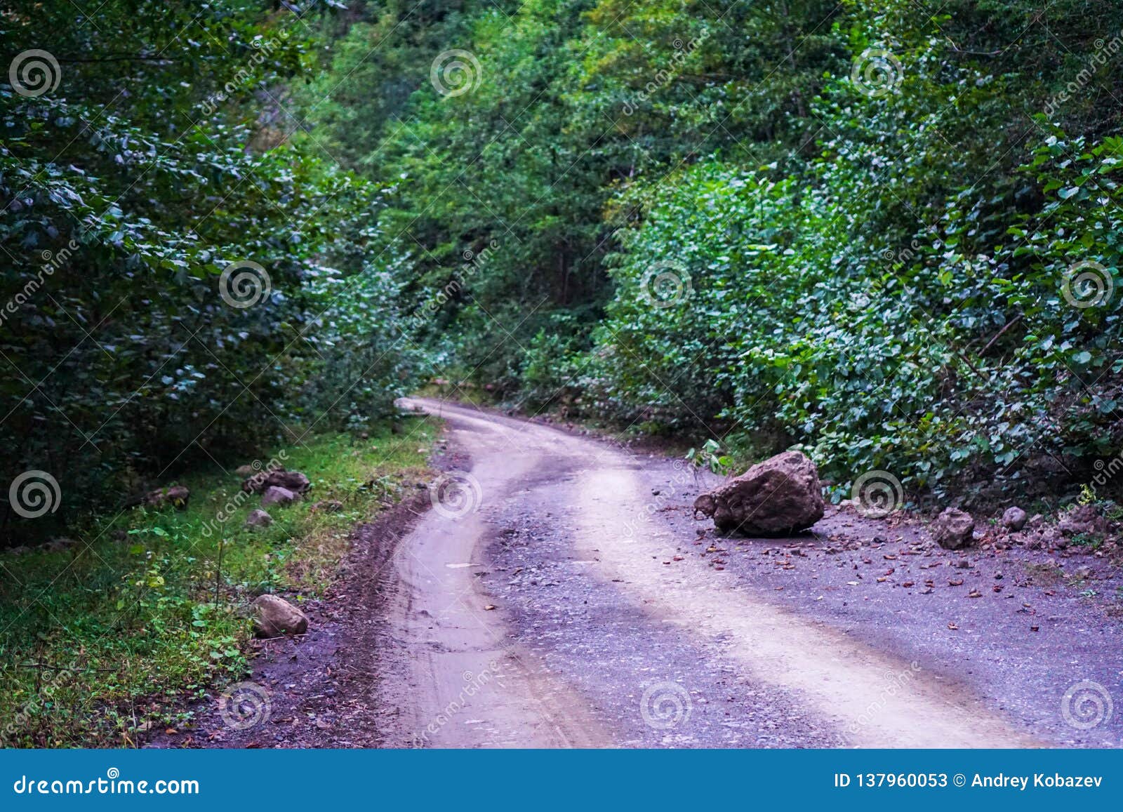A Large Stone Fell on a Dirt Mountain Road after the Rain Stock Image ...