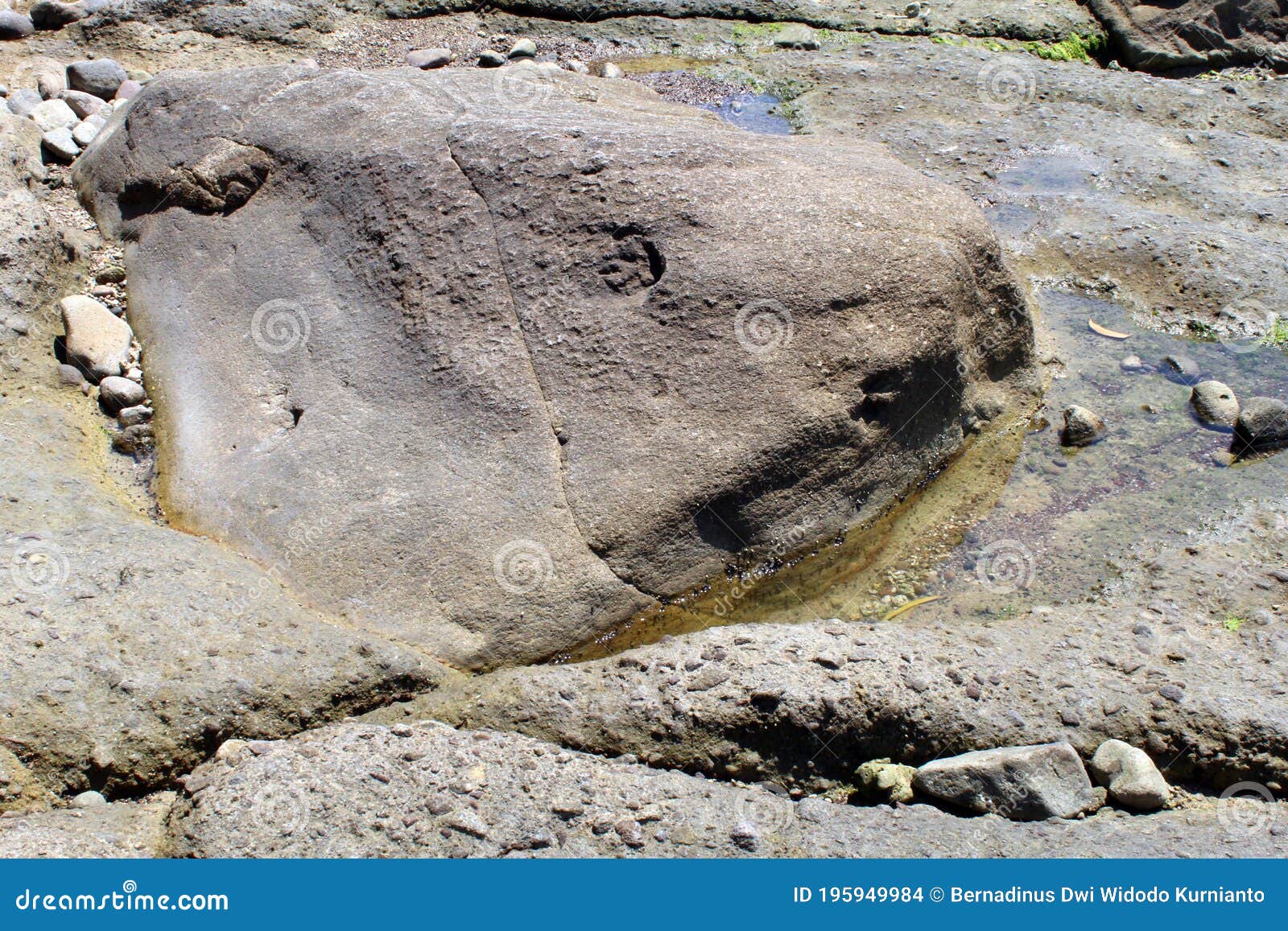 A Large Stone Shaped Like a Unique Fish Head Stock Photo - Image of ...
