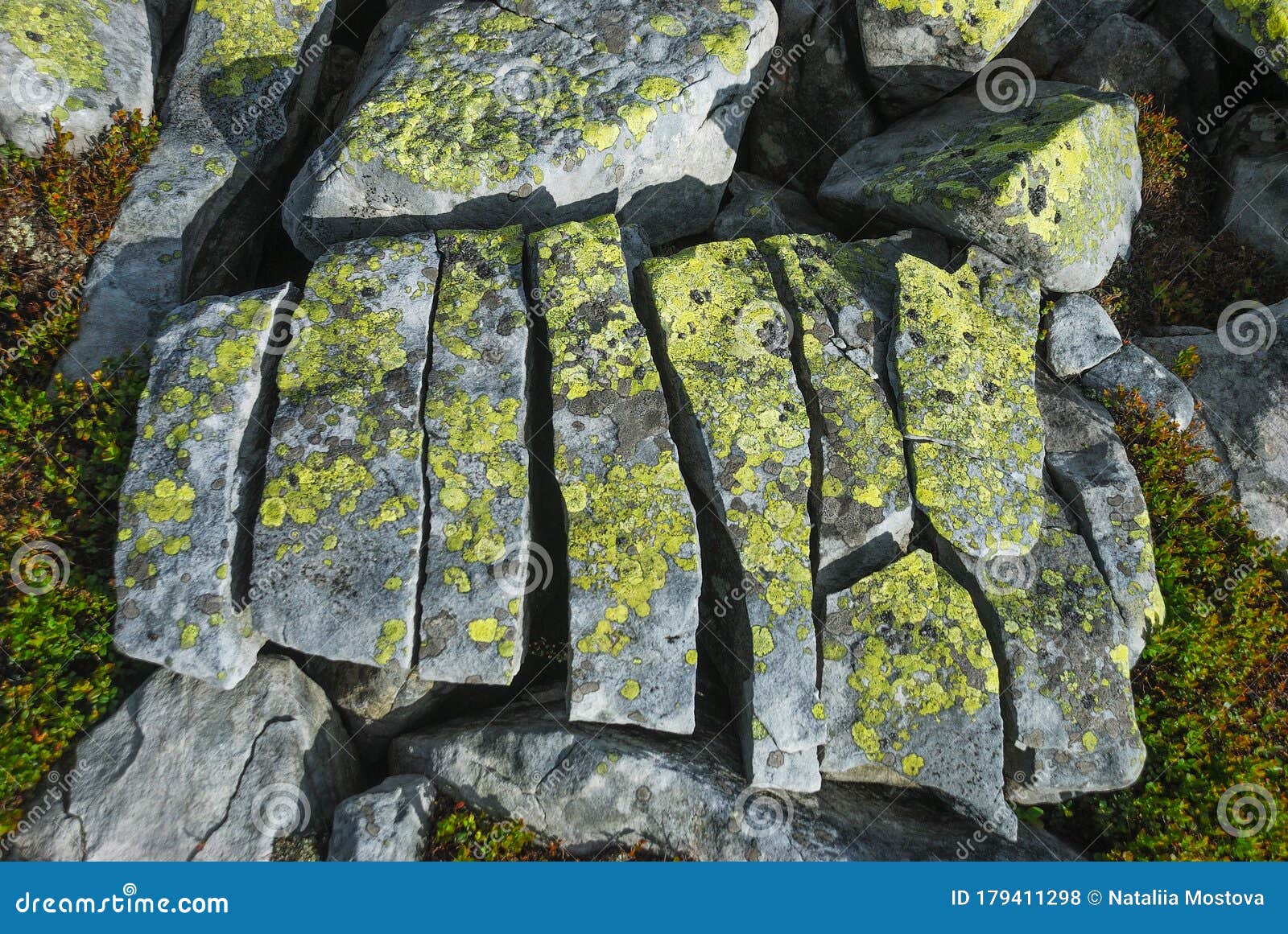 A Large Stone Split into Fragments. Green Lichen on the Stones Stock ...