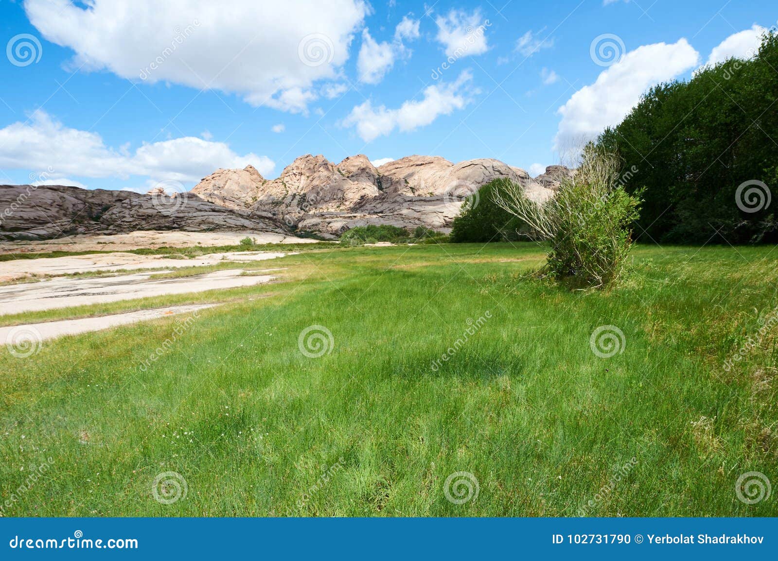 Large Stones on a Background of Green Grass. Stock Photo - Image of ...