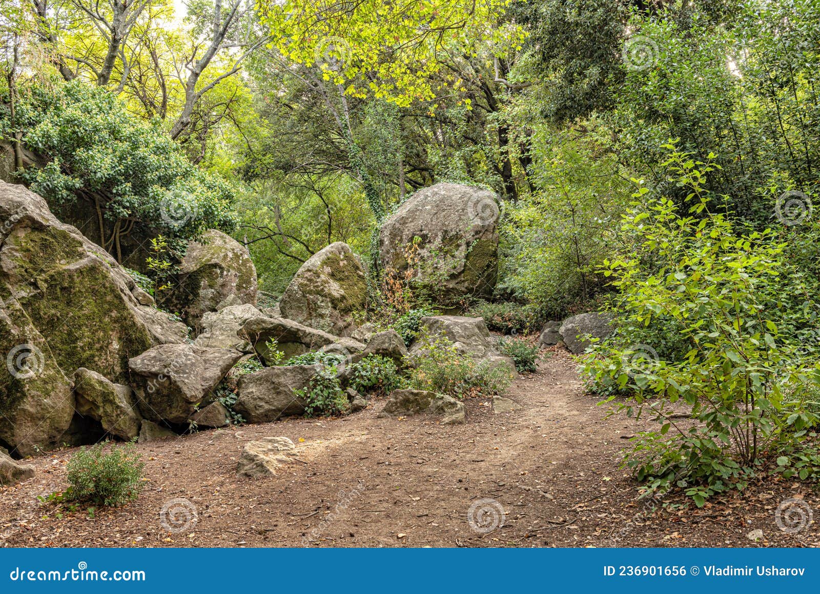 Large Stones Boulders in a Forest Clearing Stock Photo - Image of ...