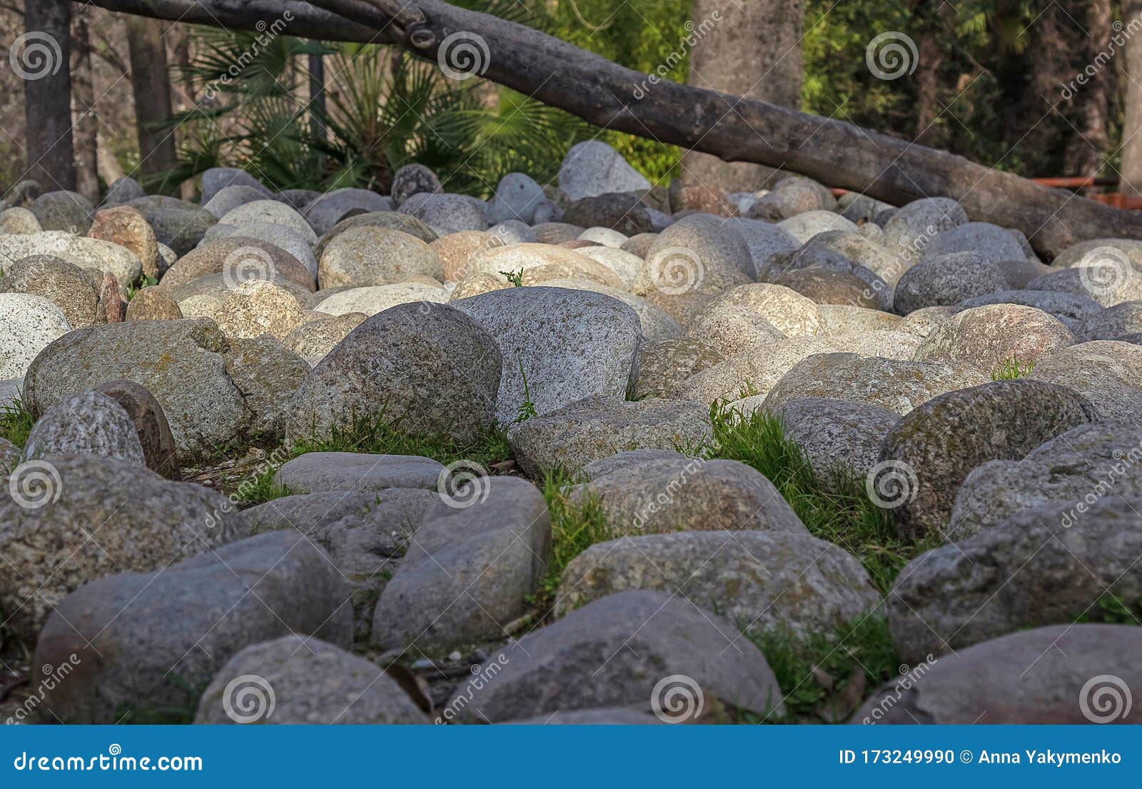 Large Stones in the Forest on the Grass Against a Background of ...