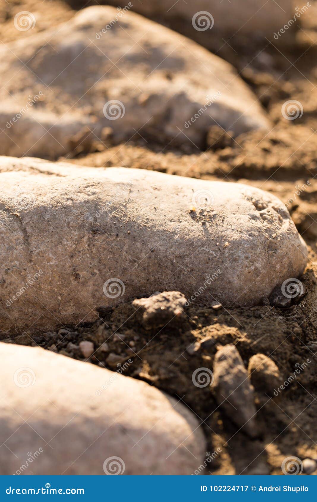 Large Stones on the Ground in Nature Stock Image - Image of natural ...