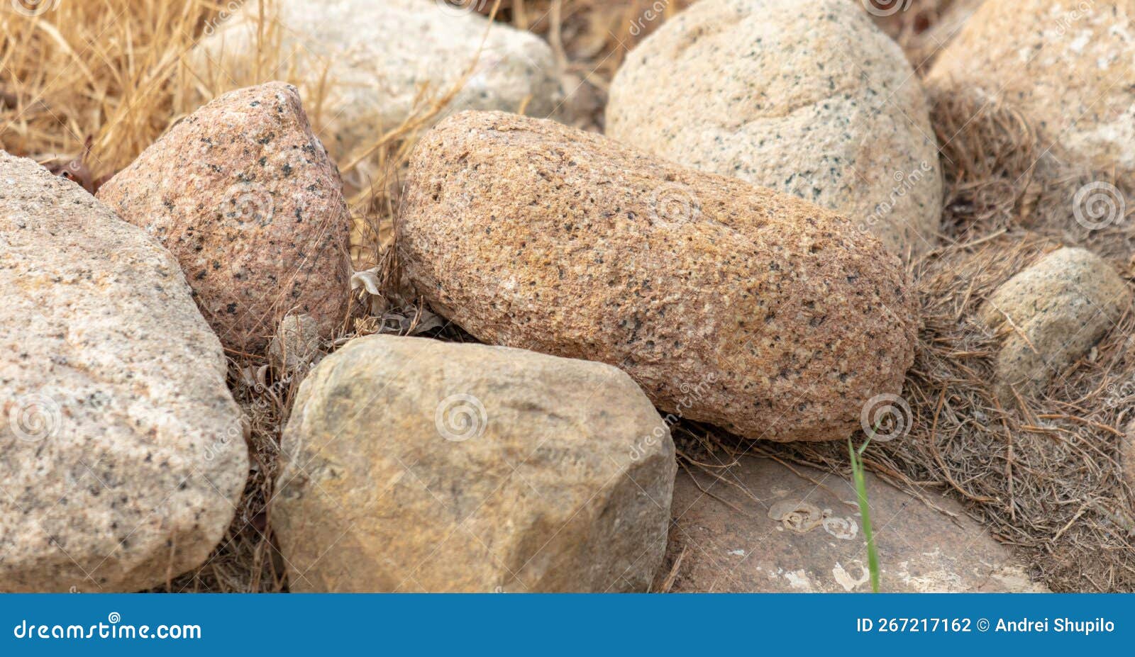 Large Stones on the Ground. Stock Photo - Image of ocean, wall: 267217162