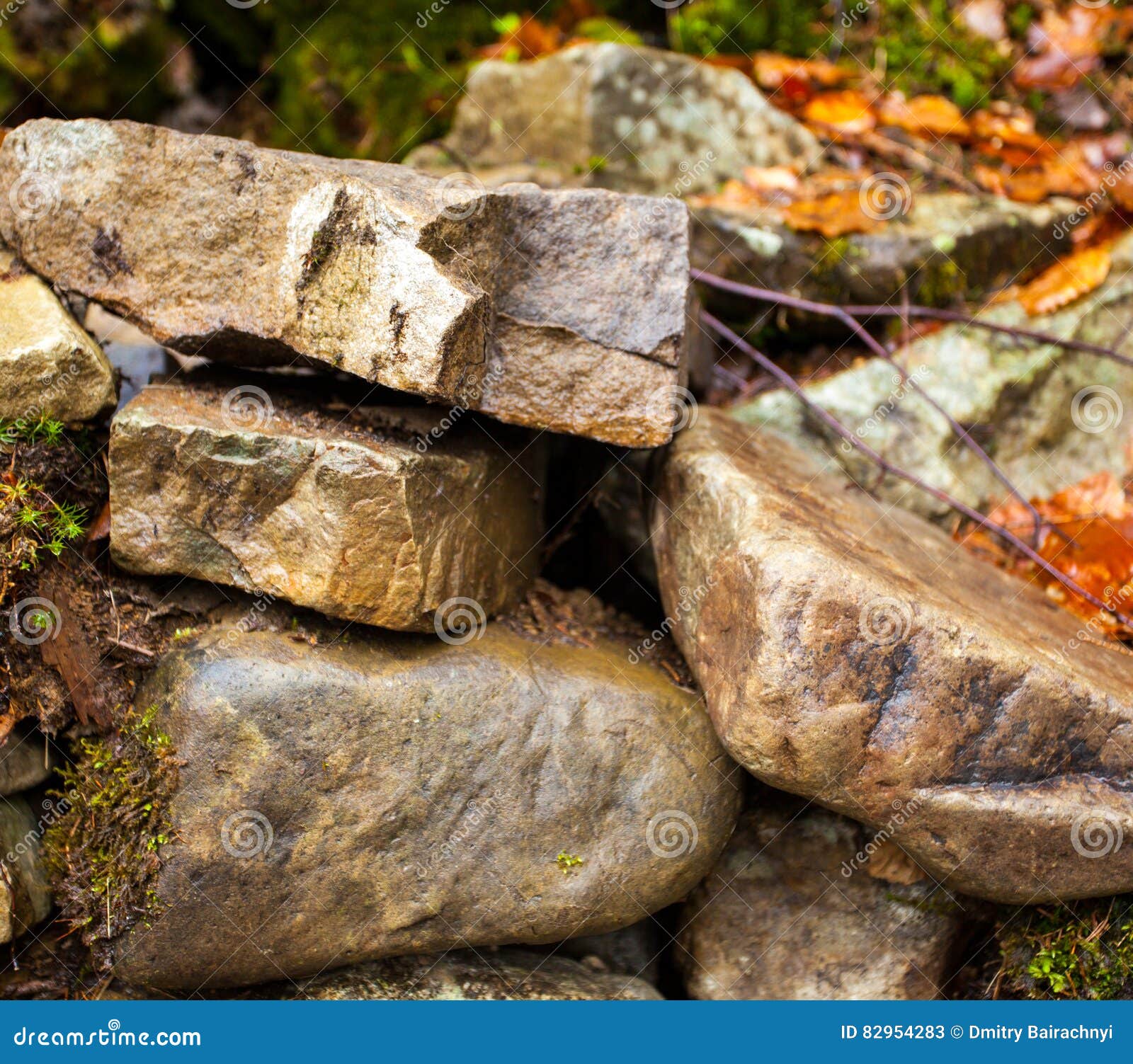 Large stones in the wood stock image. Image of leaves - 82954283