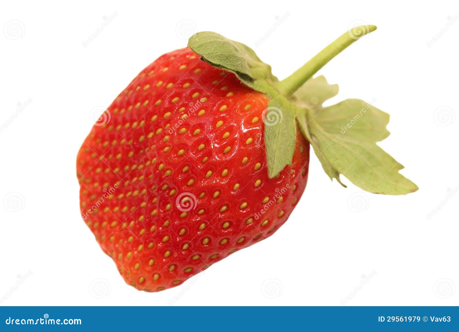 Large strawberries stock image. Image of harvest, berry - 29561979
