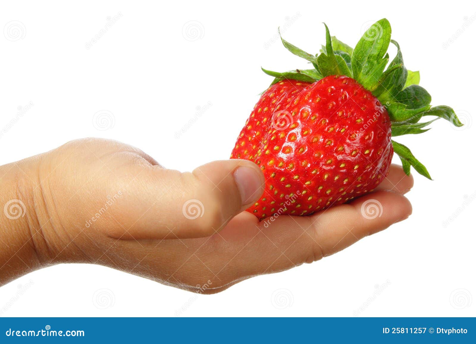 Large strawberry stock image. Image of mellow, food, entertain - 25811257