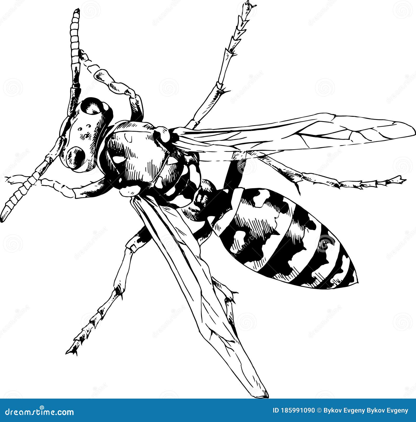 Wasp Sting Allergy Line And Solid Icon, Allergy Concept, Allergies To ...