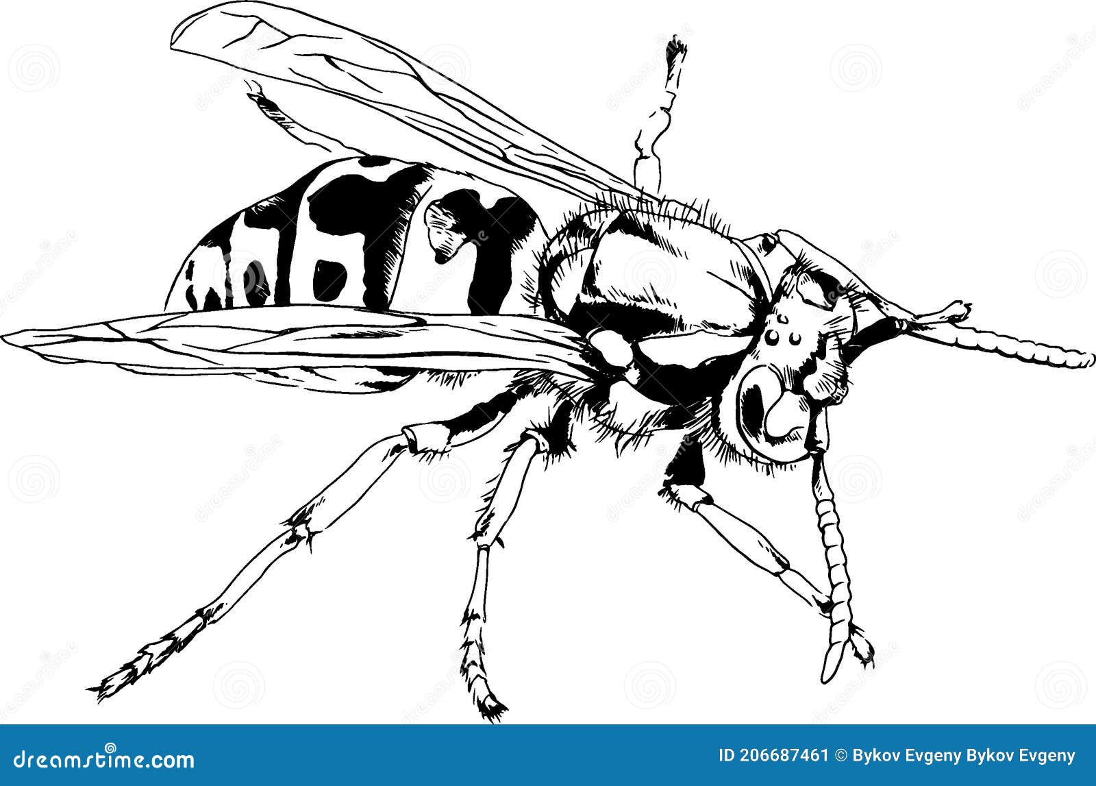 Wasp Sting Allergy Thin Line Icon, Allergy Concept, Allergies To Insect ...