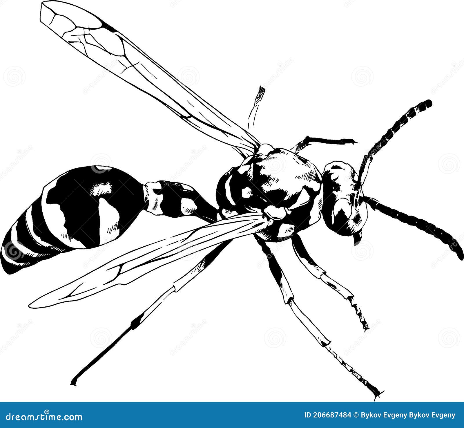 Wasp Sting Allergy Thin Line Icon, Allergy Concept, Allergies To Insect ...