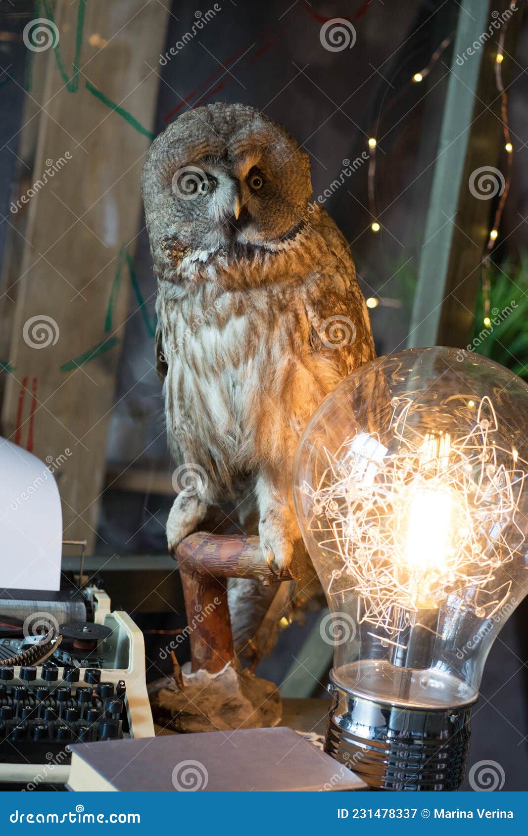 A Large Stuffed Owl Sits on a Stand Stock Image - Image of cute, garden ...