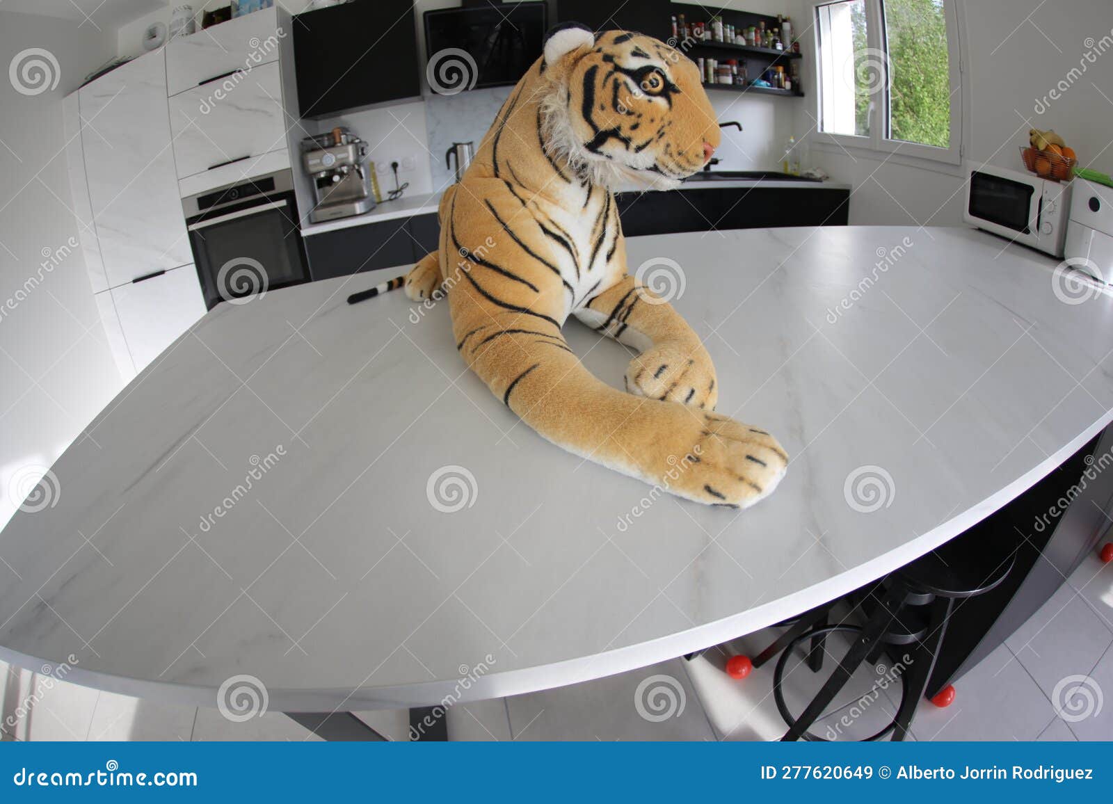 Large Stuffed Tiger in the Kitchen Stock Image - Image of funny, head ...