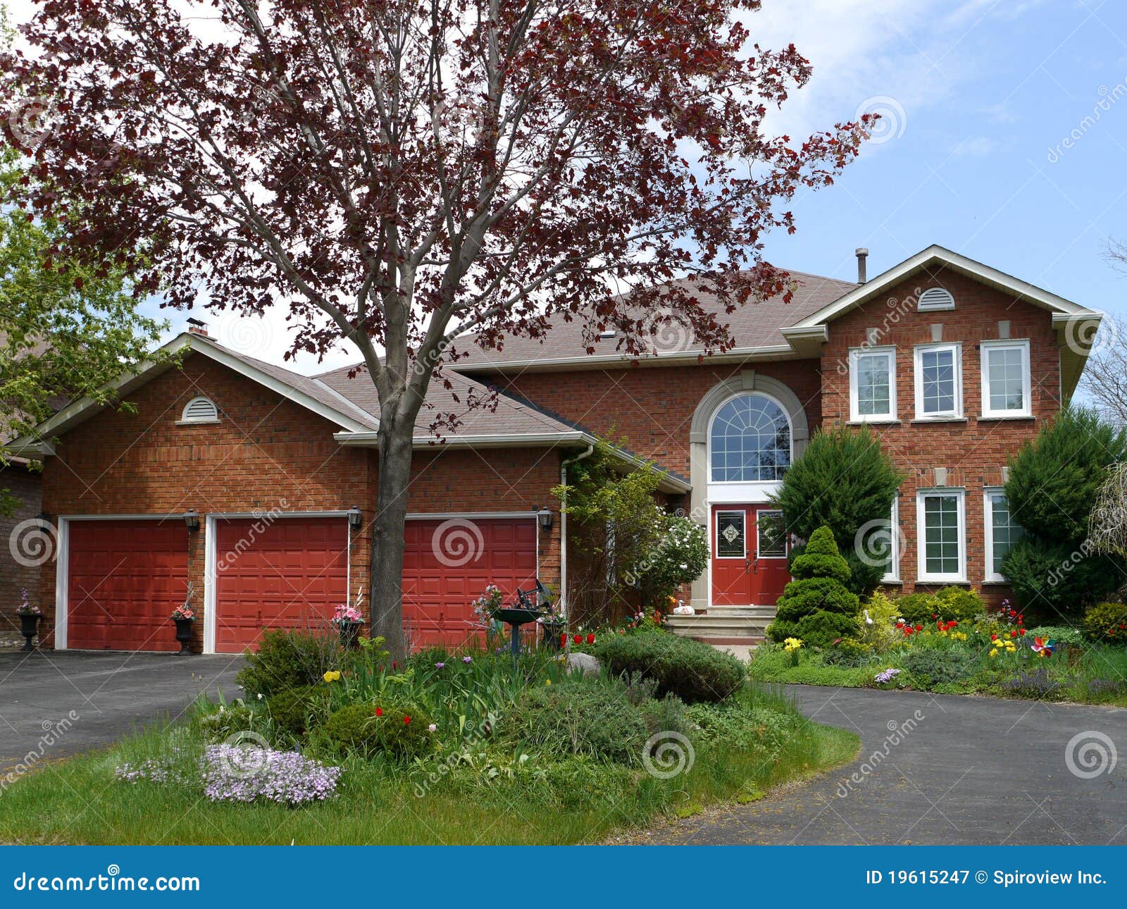 Large suburban house stock image. Image of affluent, tree - 19615247
