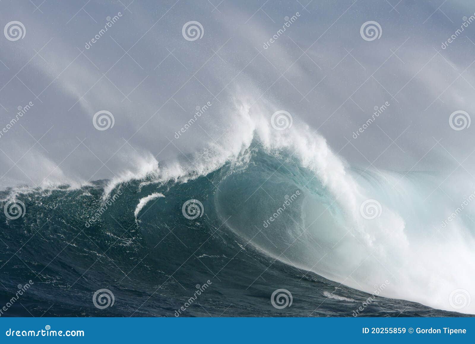 Large Surf Wave with Barrel and Wind. Stock Image - Image of offshore ...