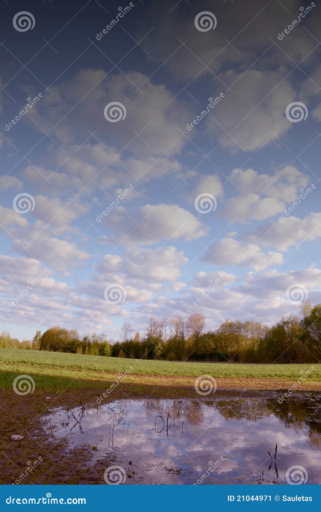 Large swamp after rain. stock image. Image of blue, nature - 21044971