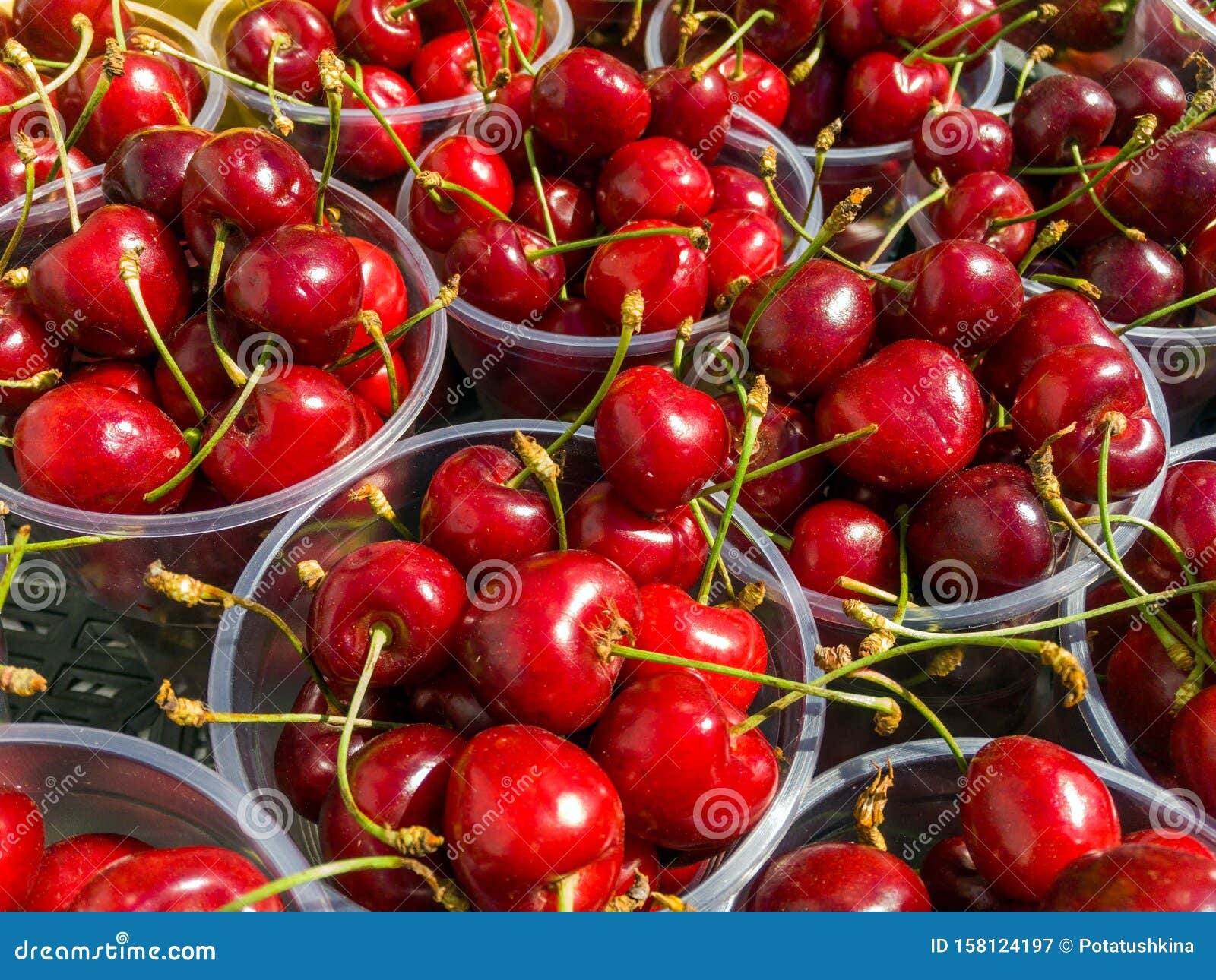 Large Sweet Cherries Poured in Transparent Plastic Cups Stock Image ...