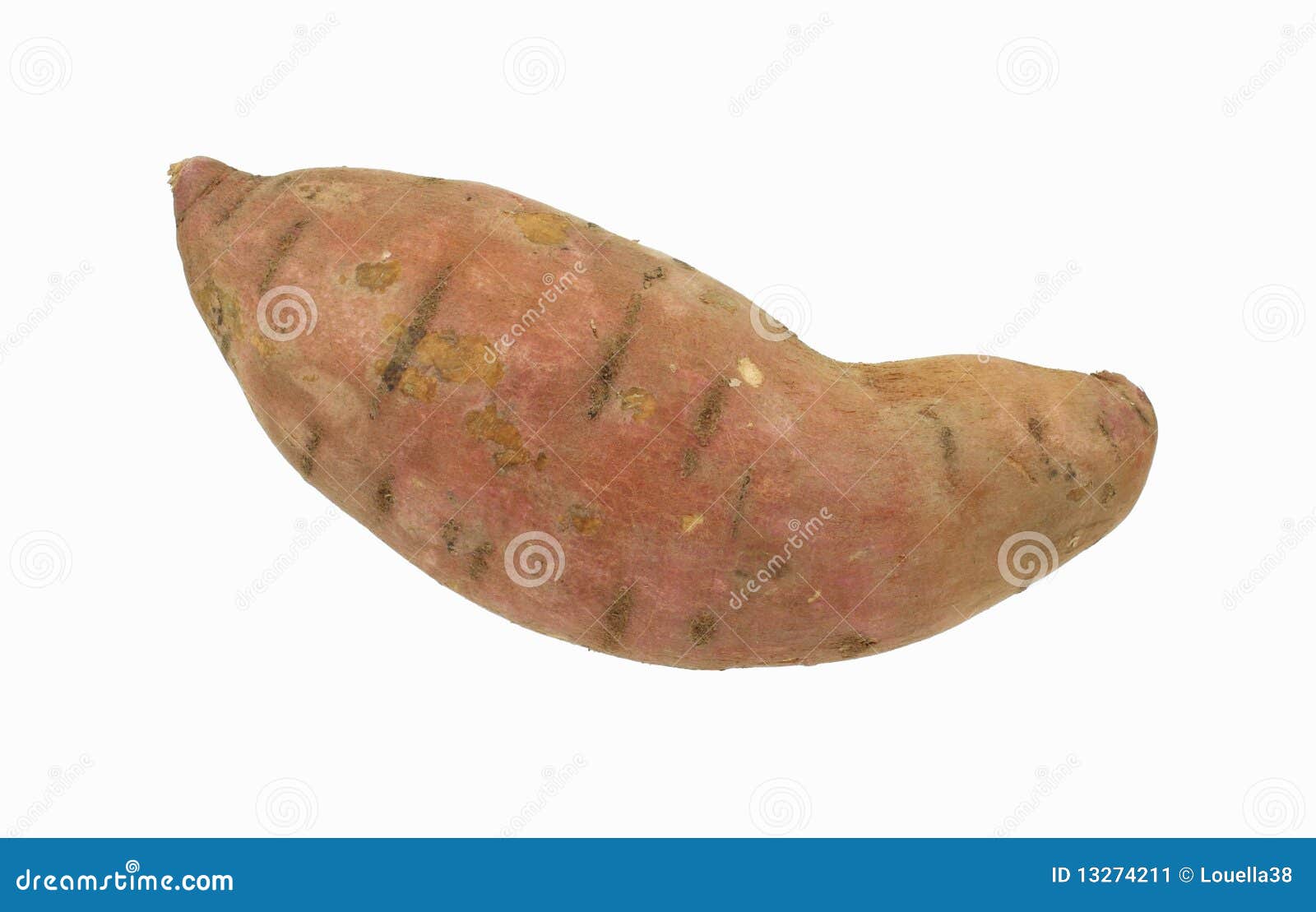 Large Sweet Potato stock image. Image of sweet, food - 13274211