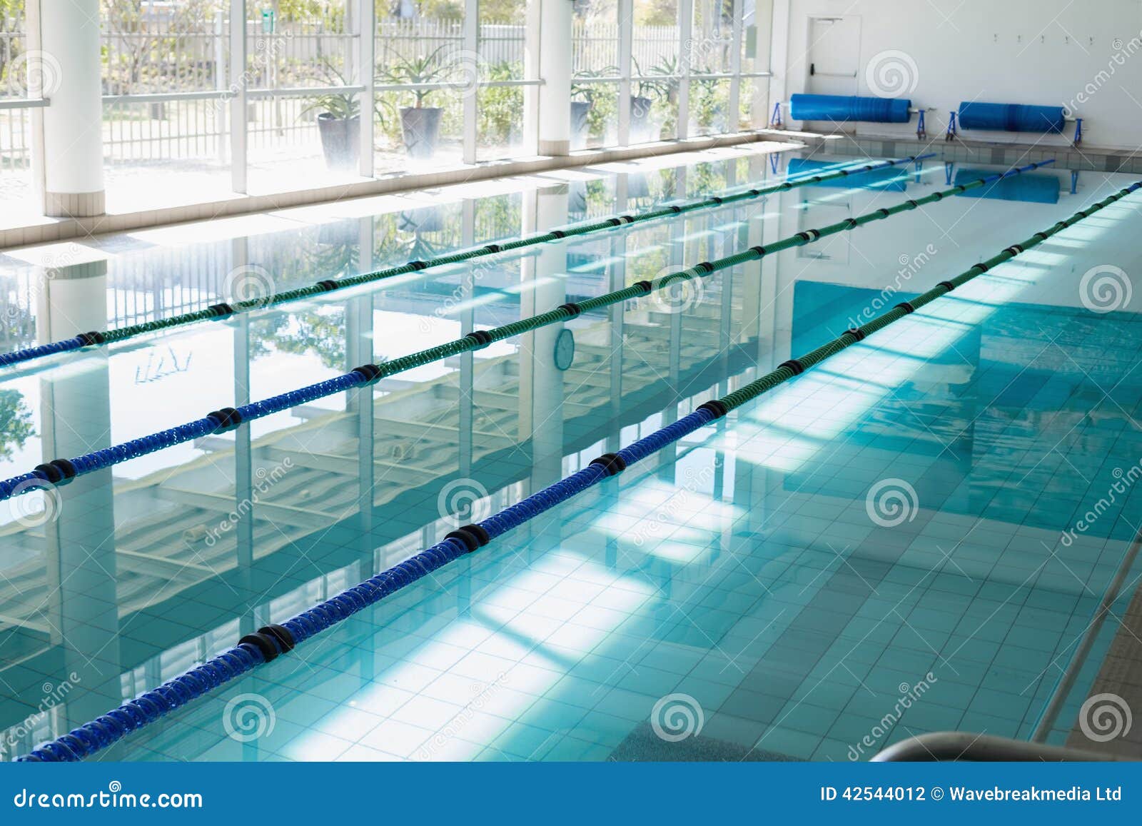 Large Swimming Pool with Sunlight Streaming in Stock Photo - Image of ...
