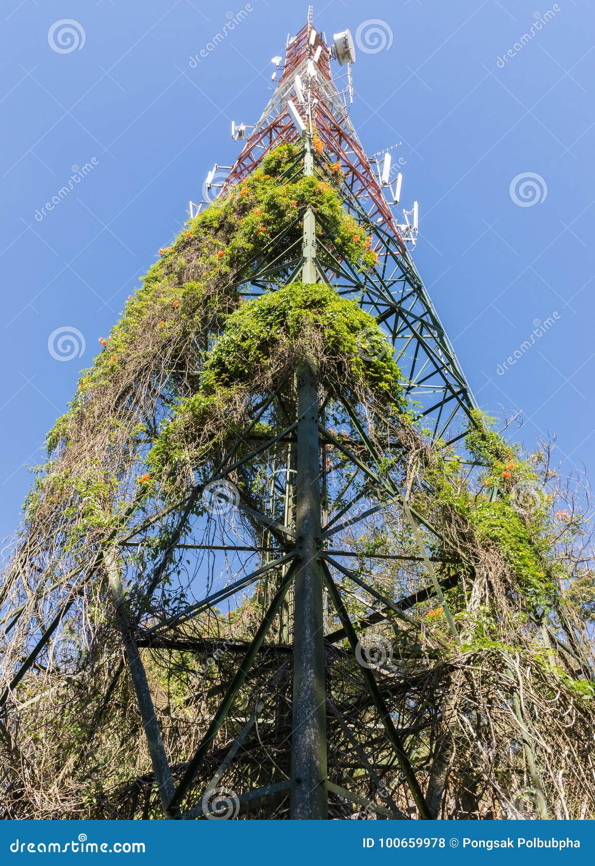 Large Telecomunication Tower with the Plant. Stock Photo - Image of ...