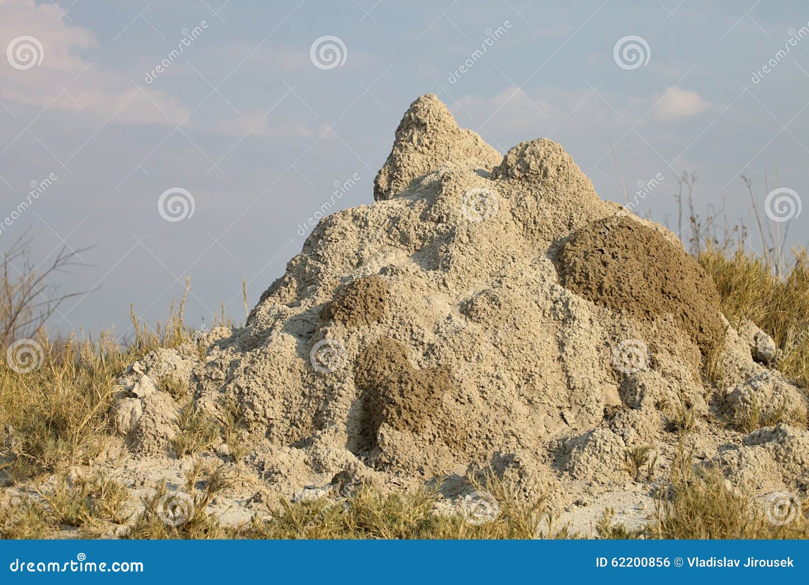 Large Termite in the Etosha National Park, Namibia Stock Photo - Image ...