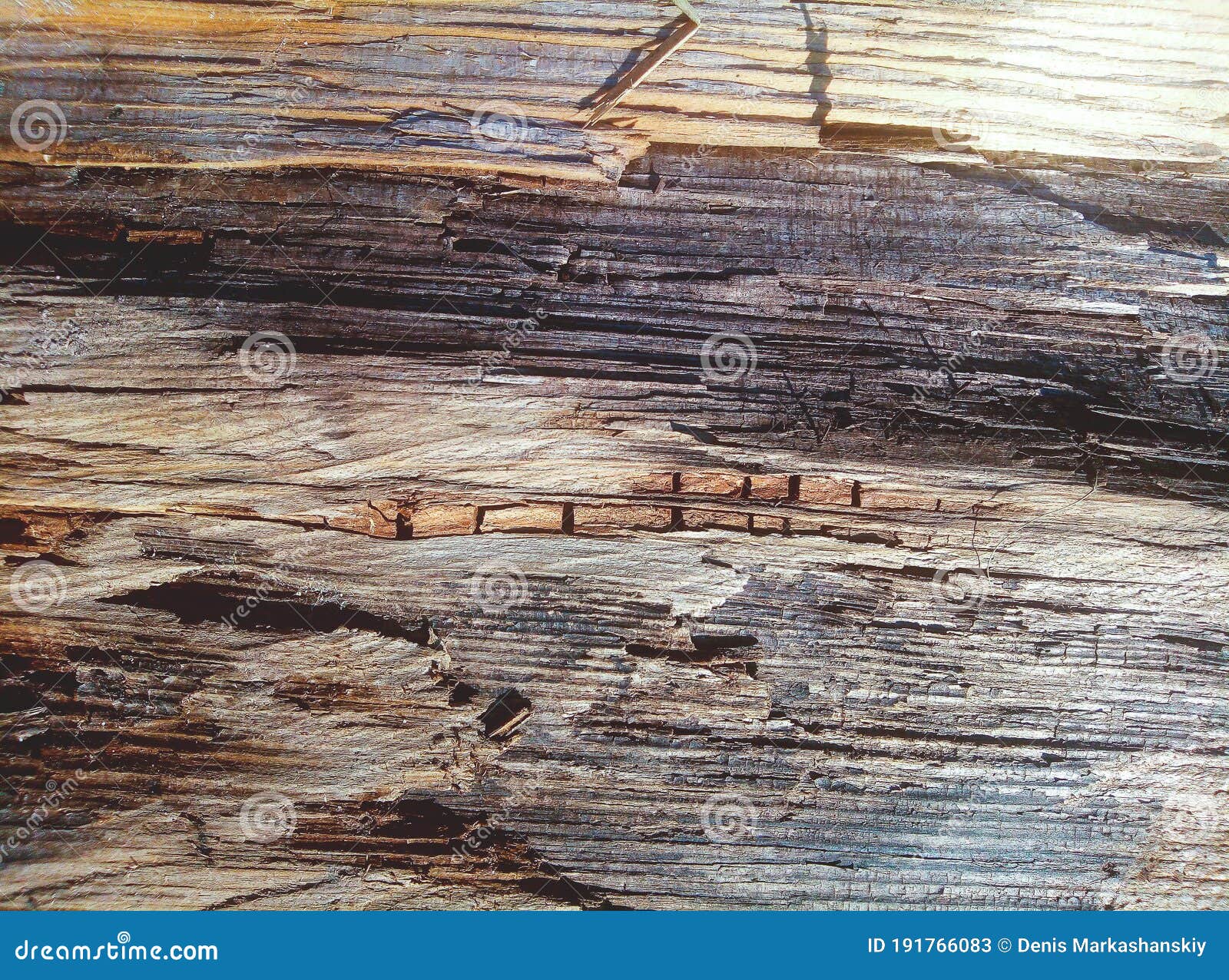 Large Textured Plan of the Wood Wall Texture. Stock Image - Image of ...