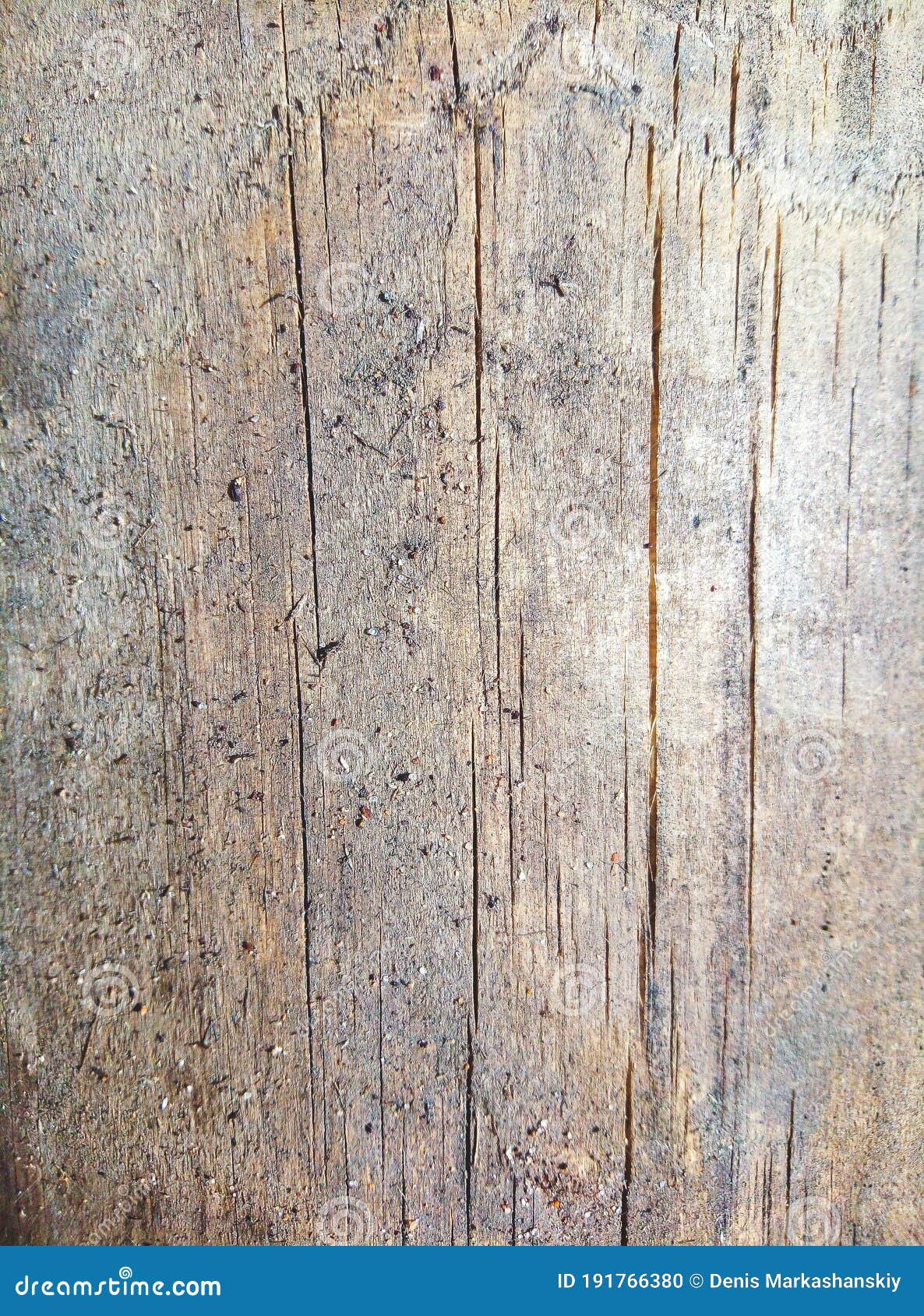 Large Textured Plan of the Wood Wall Texture. Stock Photo - Image of ...