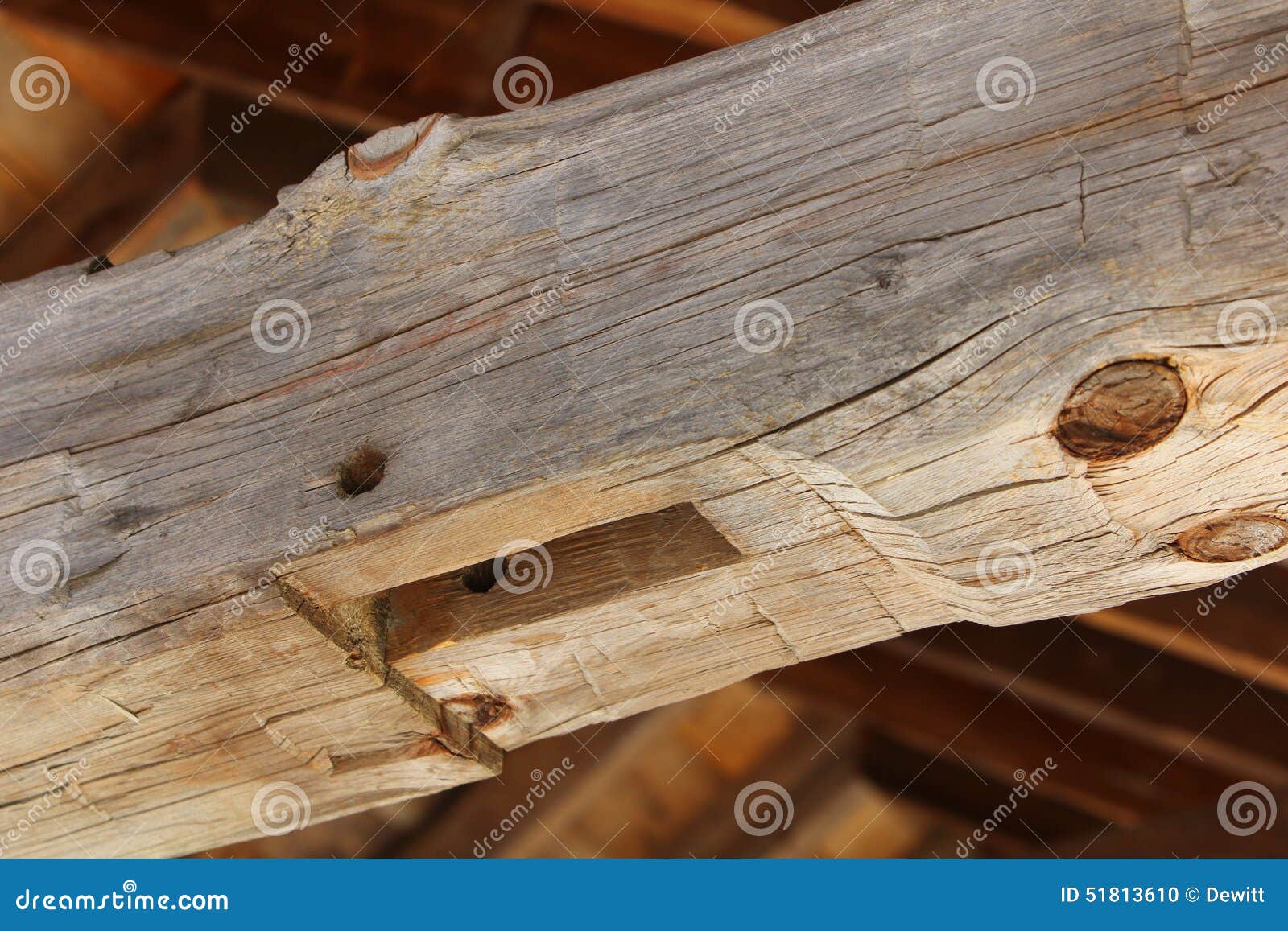 Large timber stock photo. Image of huge, construction - 51813610
