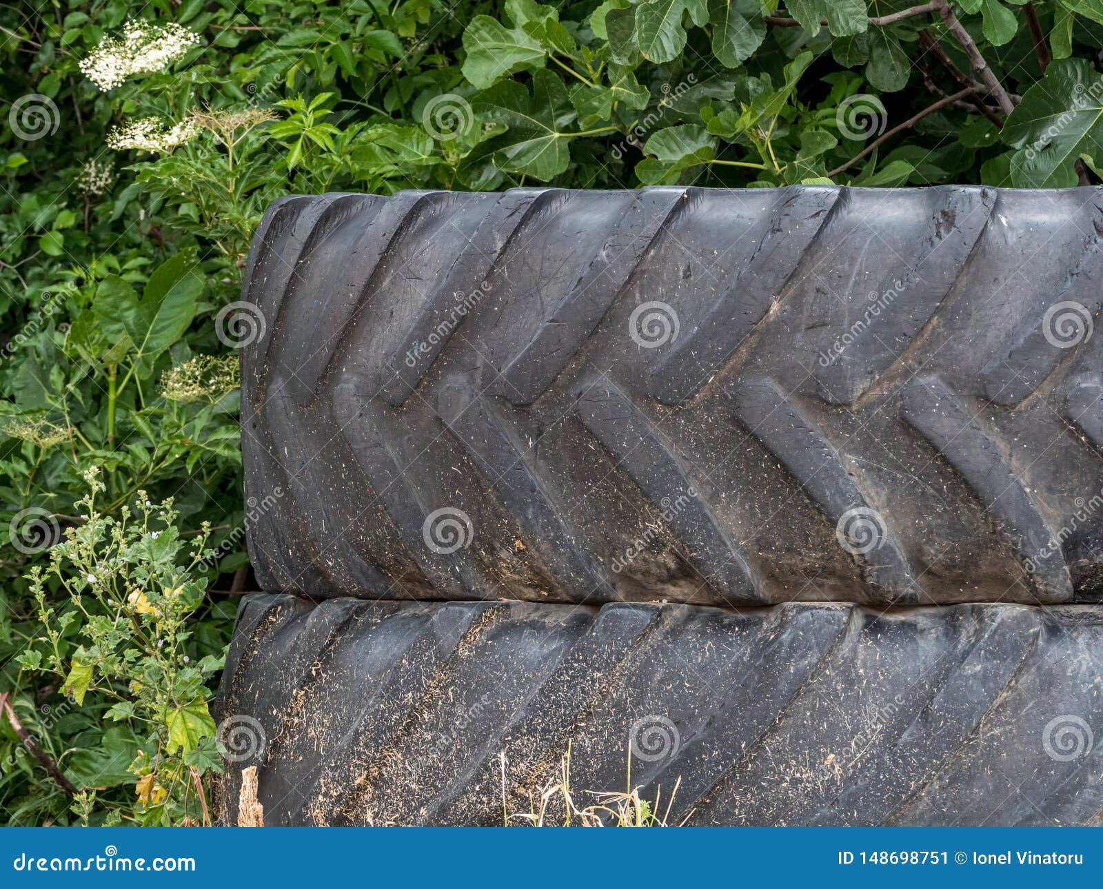 Large Tires Contaminating the Environment in the Forest Stock Image ...