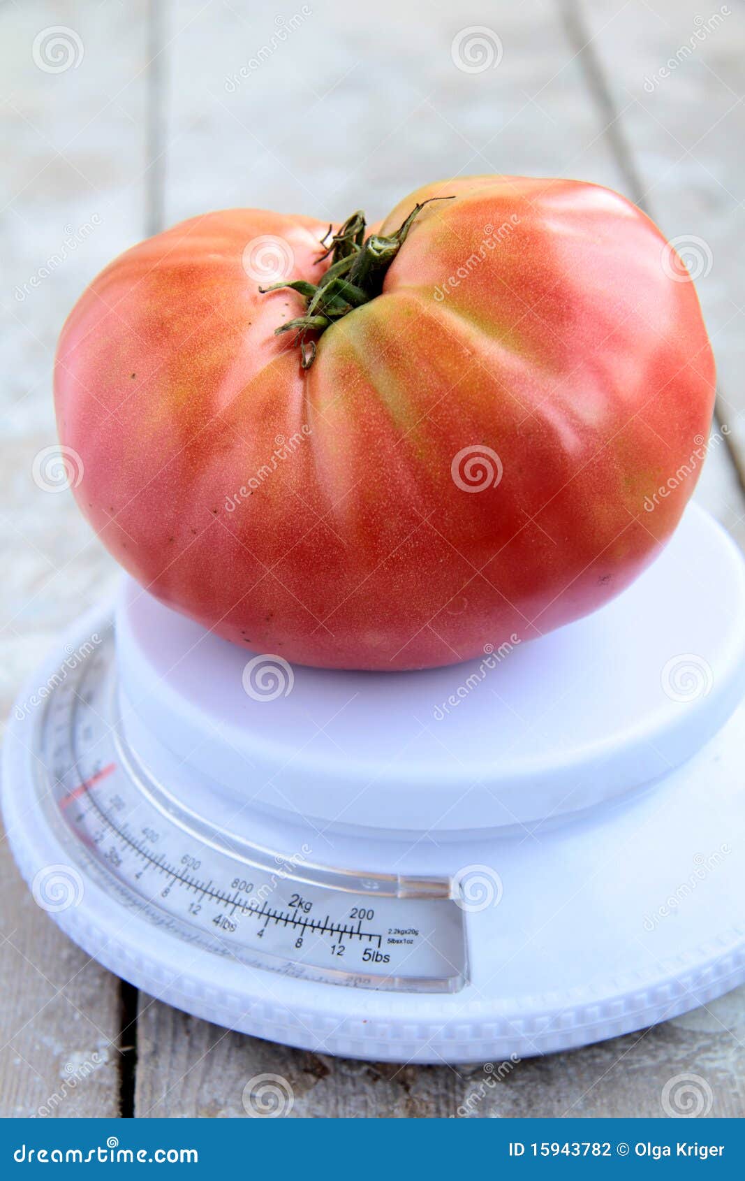 Large tomato stock photo. Image of gourmet, organic, abundance - 15943782