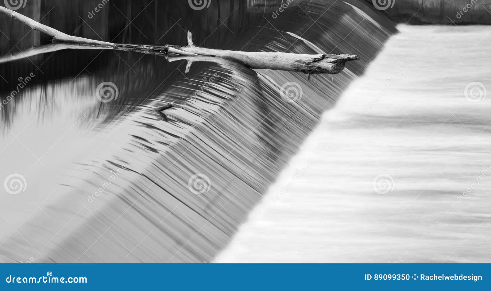 Large Tree Branch Caught on the Edge of a Water Dam, Relfections and ...