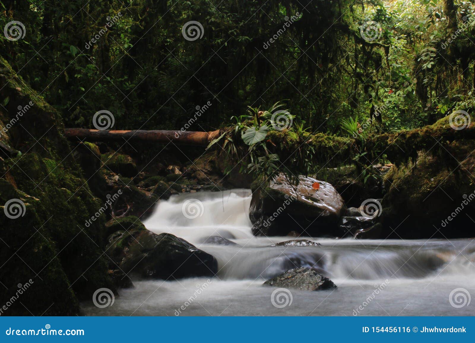 A Large Tree Fallen Over a Broad River with a Quick Current in a ...