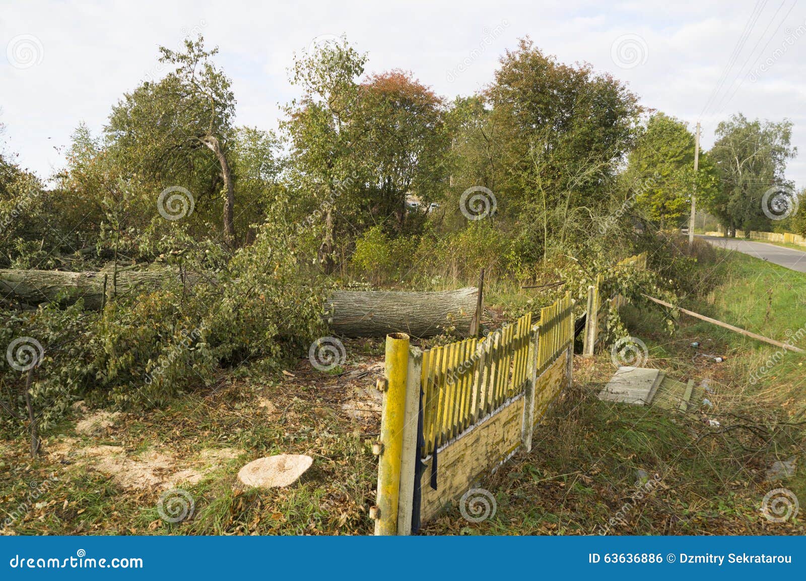 Large Tree Fell and Damaged the Fence Stock Photo - Image of ...