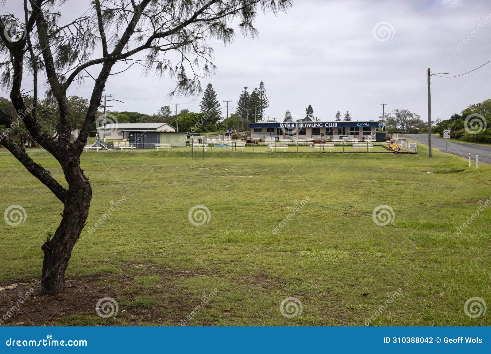 A Large Tree in a Grassy Field with Old Local Pub in Wooli Nsw ...