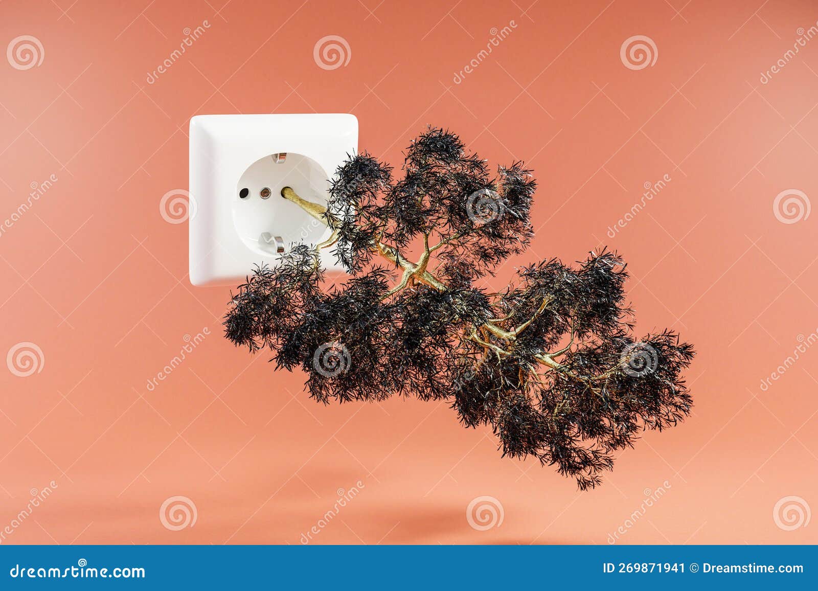 Large Tree Growing Out of Single White Power Socket Floating in the Air ...