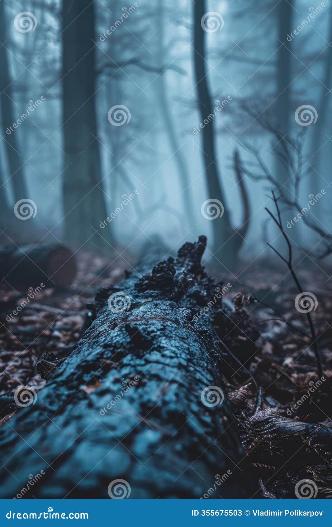 A Large Tree Has Fallen in the Middle of a Dense Forest, with ...