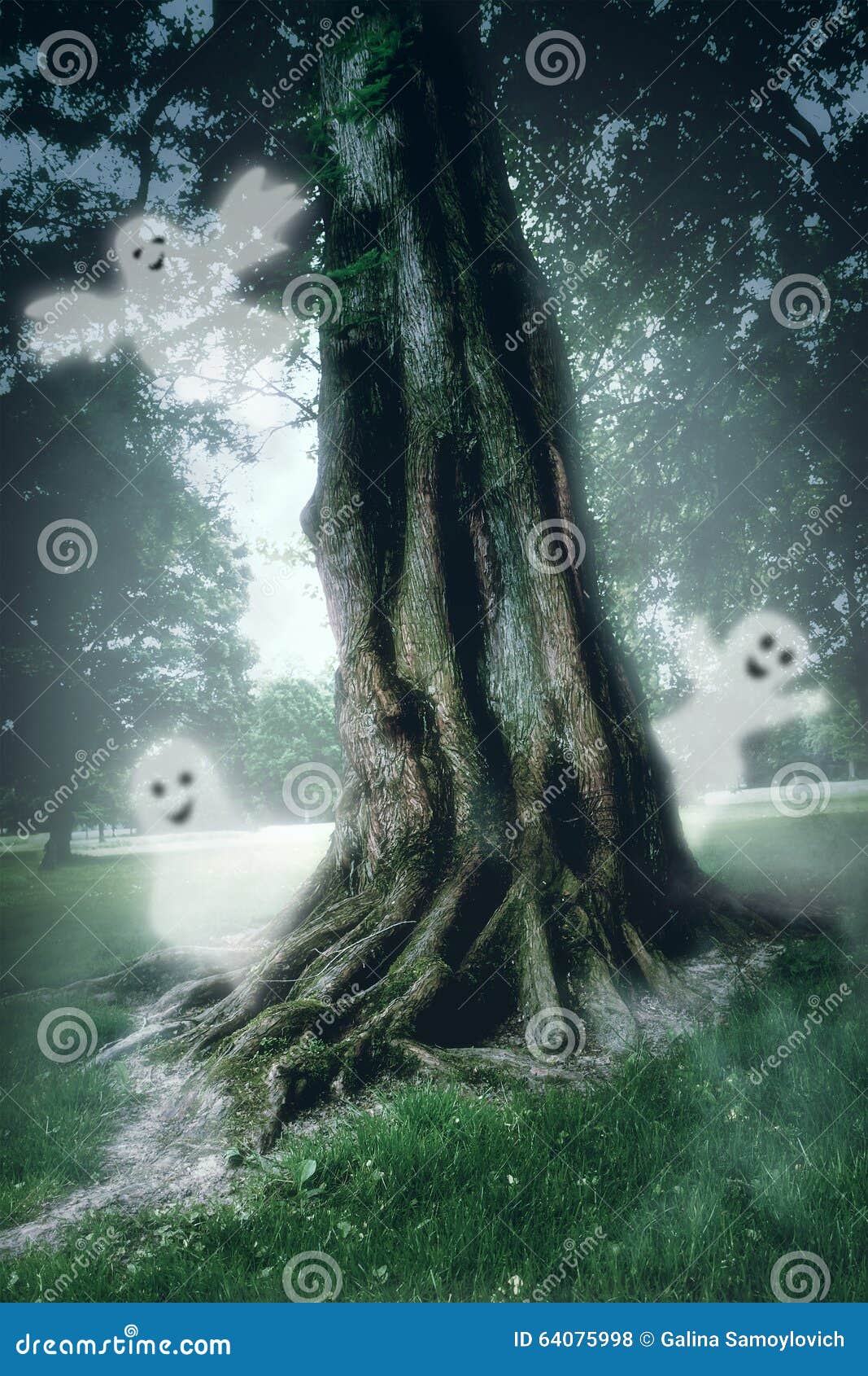 Large Tree in the Mist in the Magic Forest Stock Photo - Image of bush ...