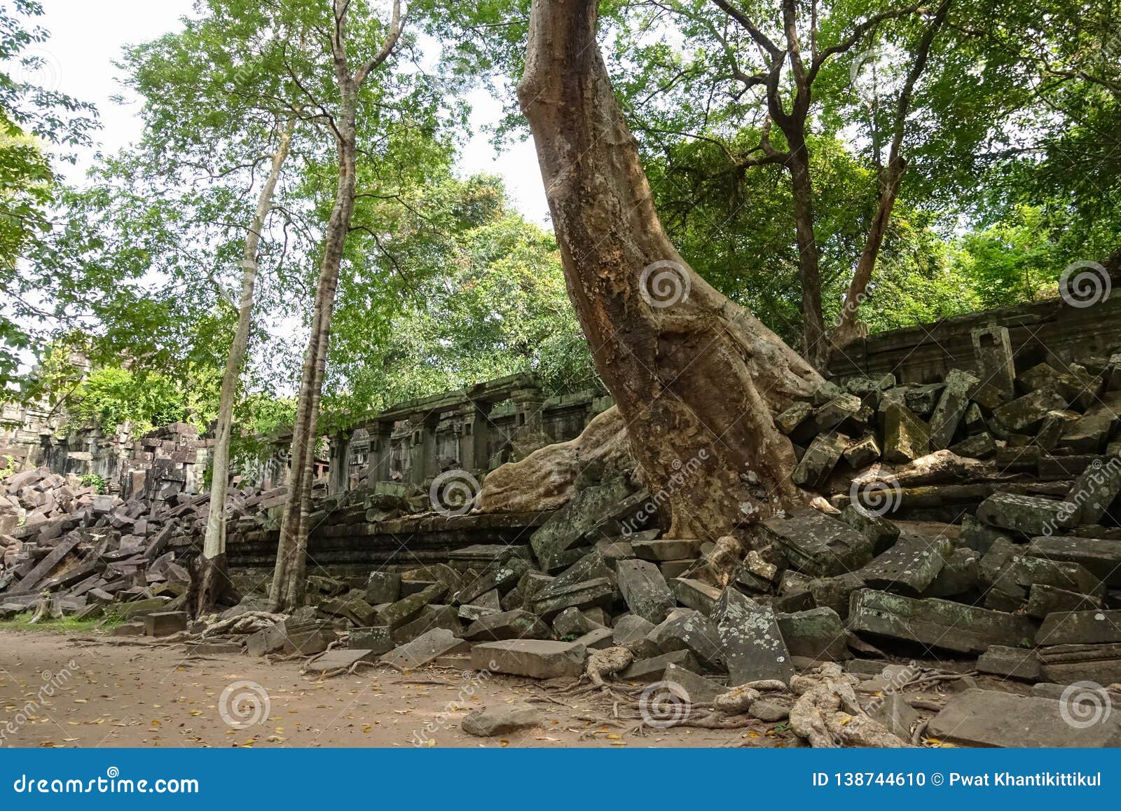 A Large Tree that Rises Over the Wall that Collapses. of Bayon Temple ...