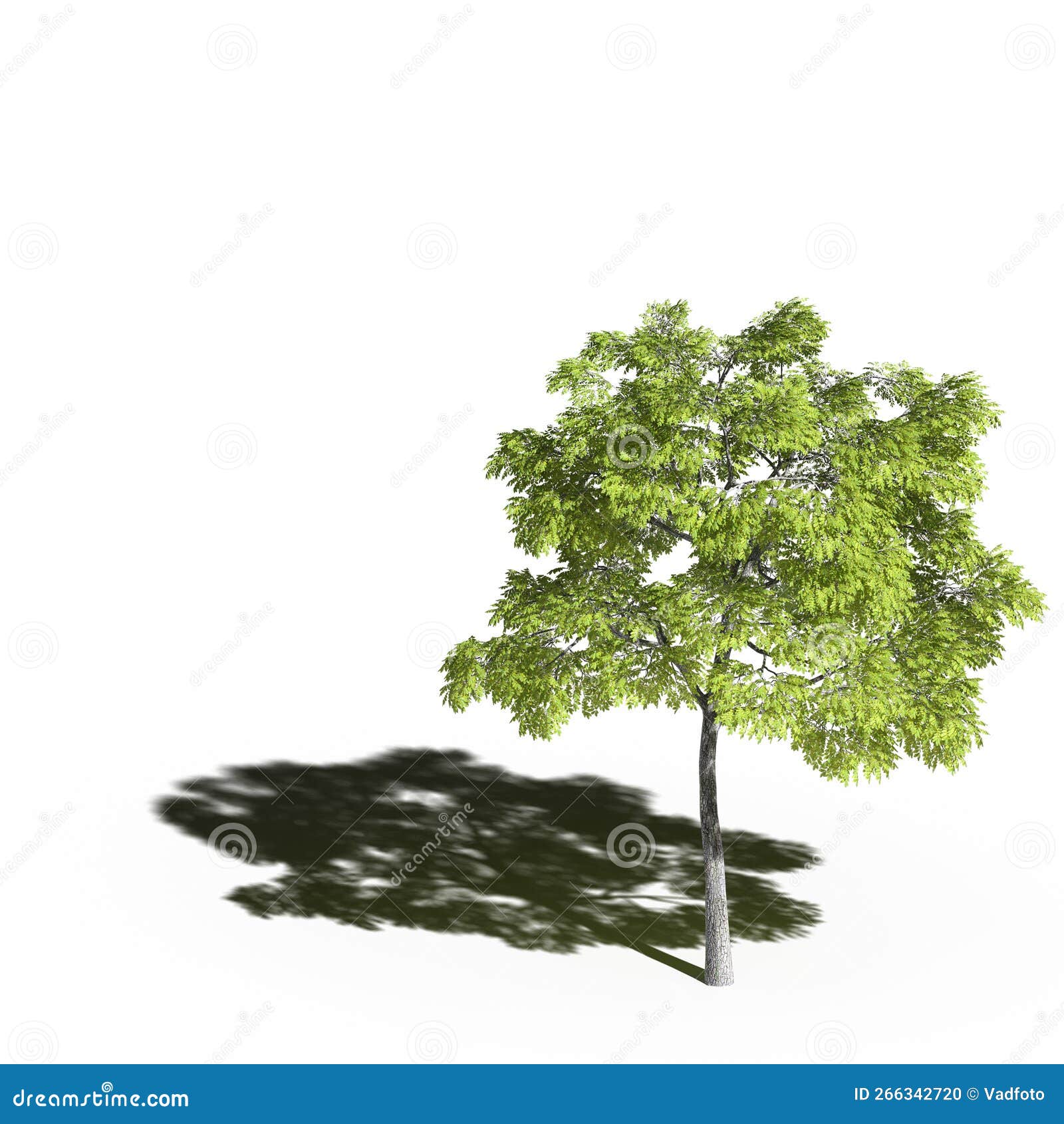 Large Tree with a Shadow Under it Stock Illustration - Illustration of ...