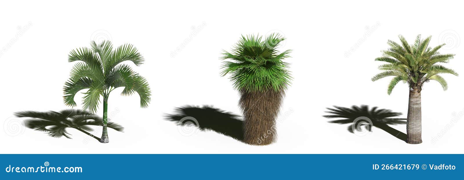 Large Tree with a Shadow Under it Stock Illustration - Illustration of ...