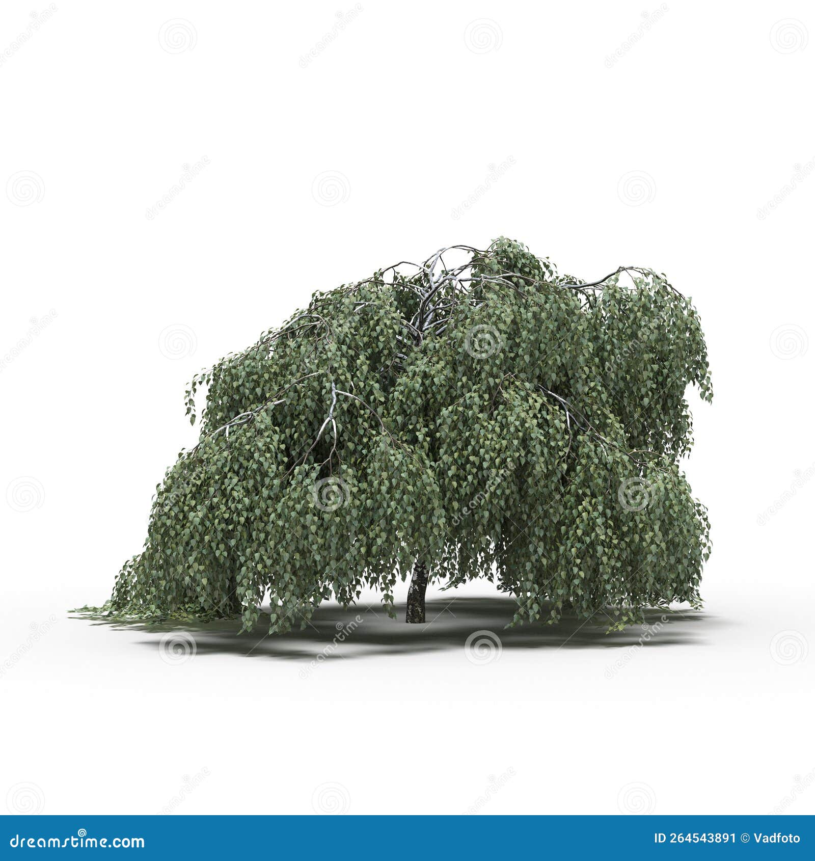 Large Tree with a Shadow Under it Stock Illustration - Illustration of ...