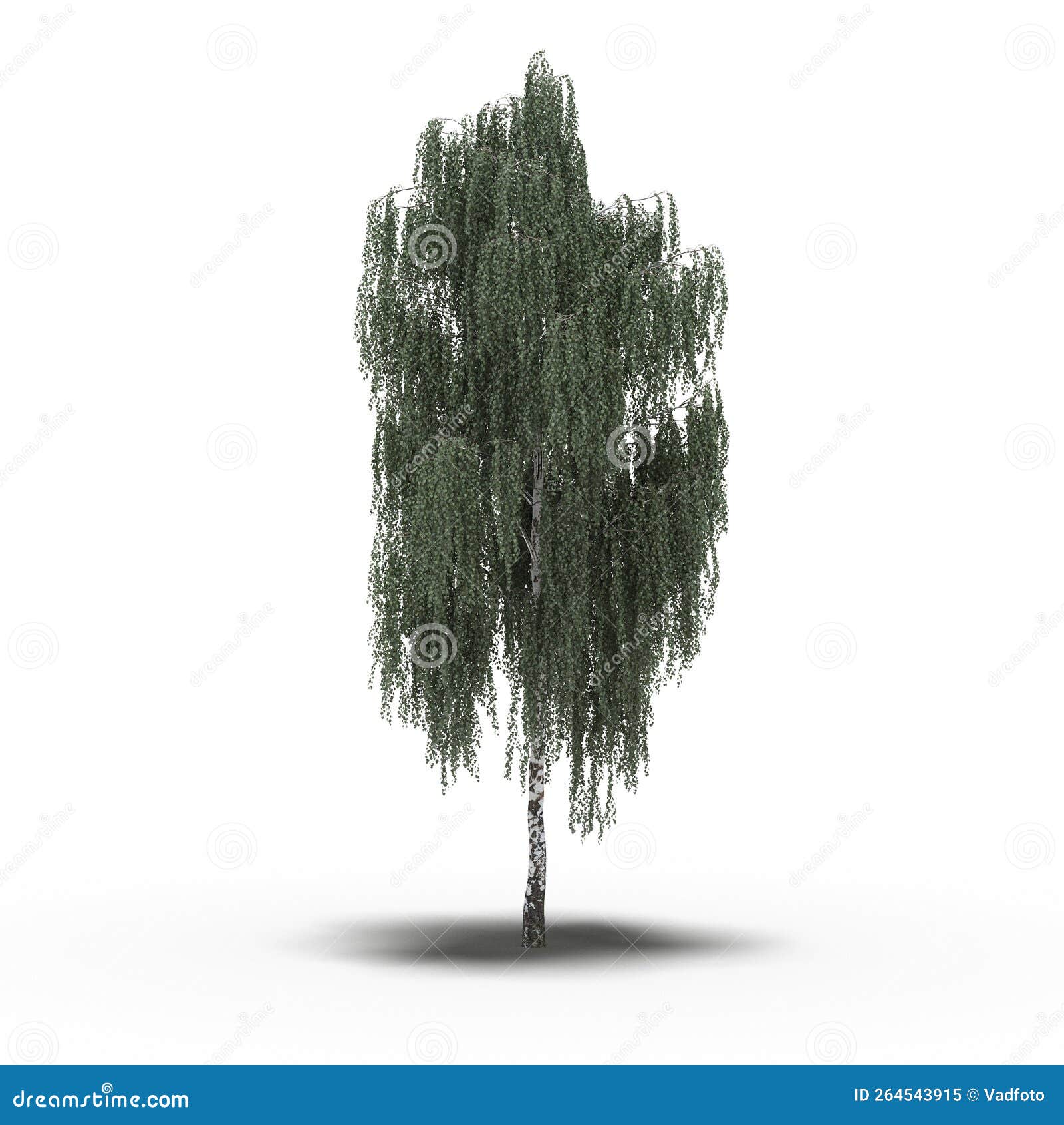 Large Tree with a Shadow Under it Stock Illustration - Illustration of ...