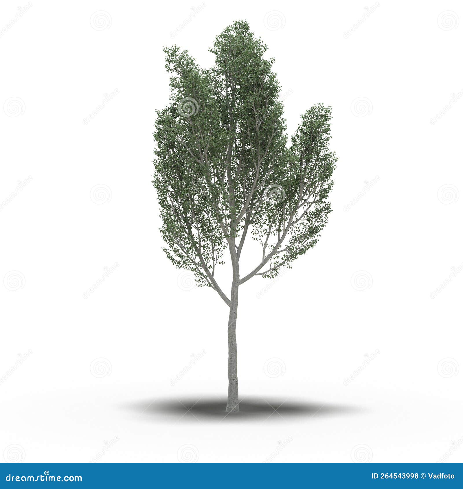 Large Tree with a Shadow Under it Stock Illustration - Illustration of ...