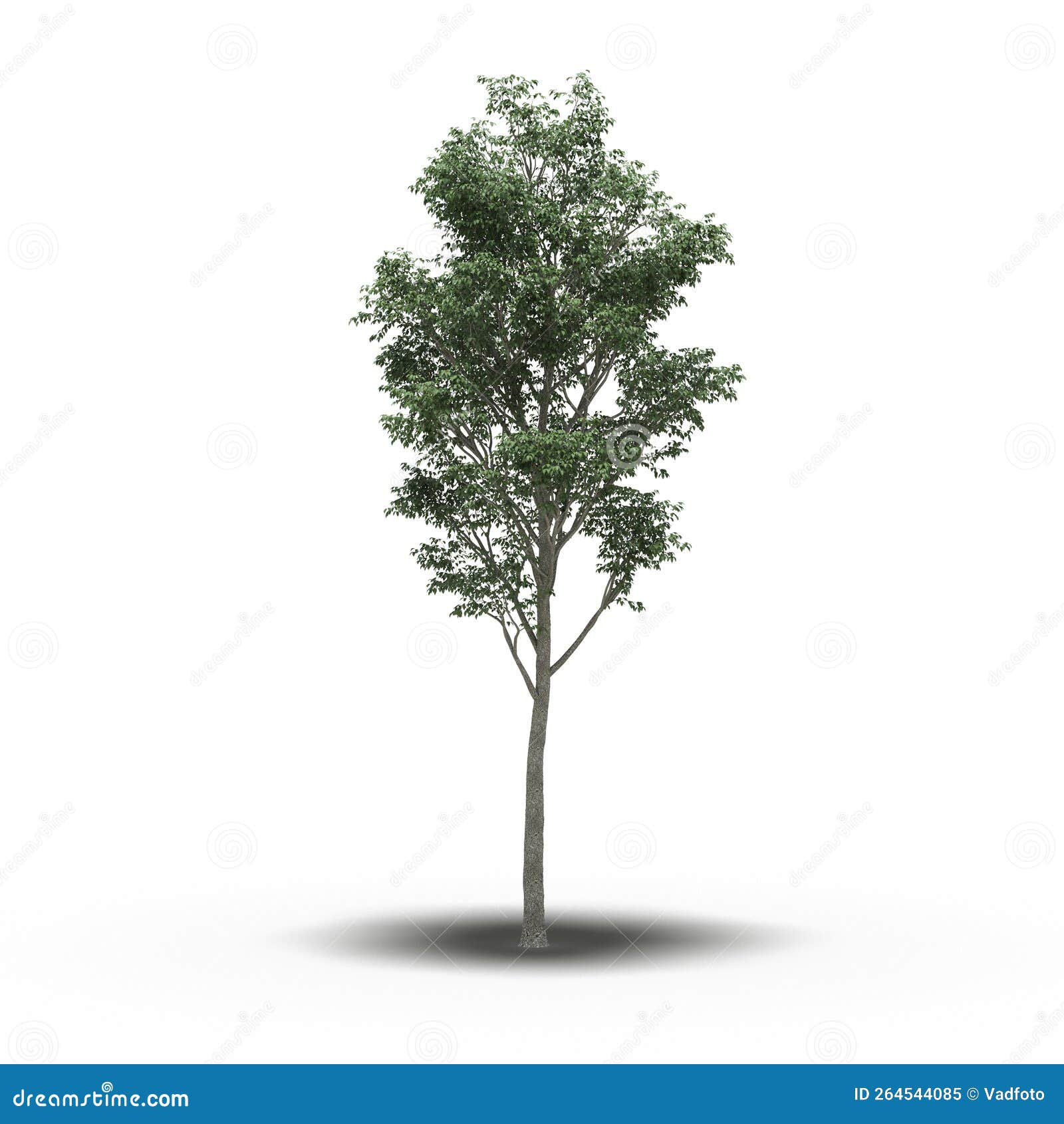 Large Tree with a Shadow Under it Stock Illustration - Illustration of ...