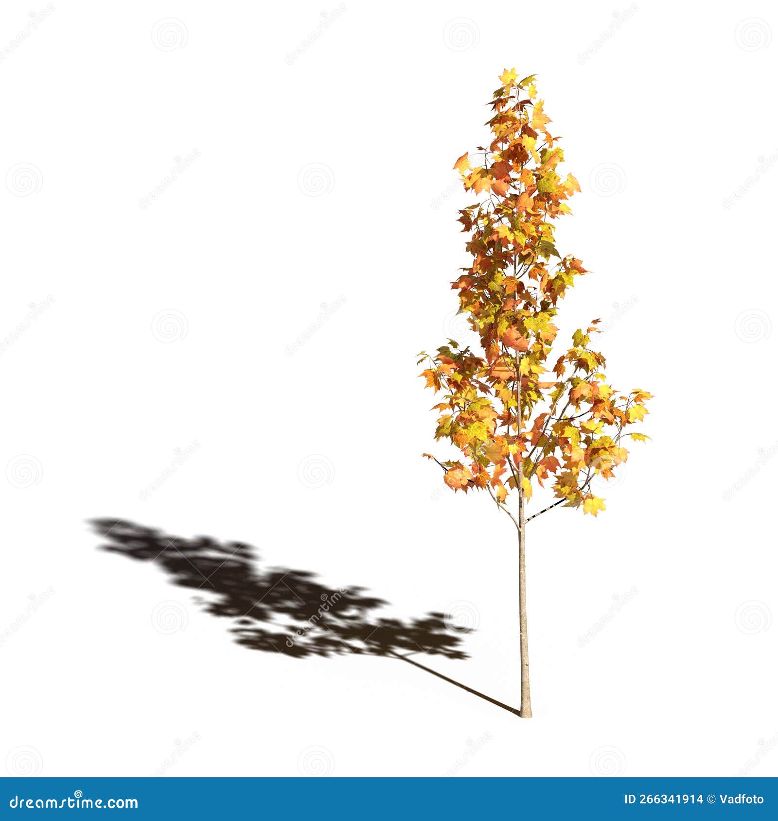 Large Tree with a Shadow Under it Stock Illustration - Illustration of ...