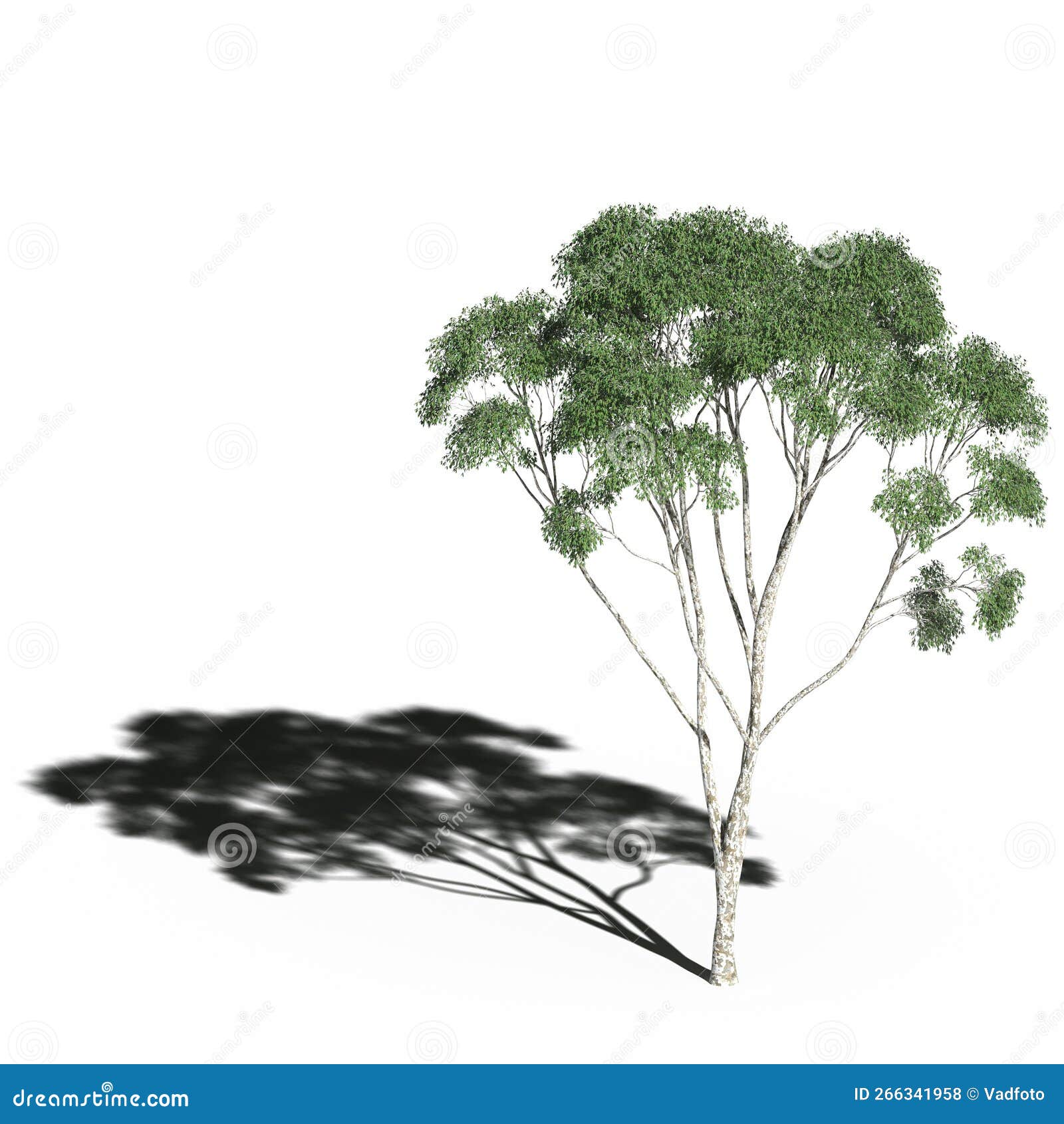 Large Tree with a Shadow Under it Stock Illustration - Illustration of ...