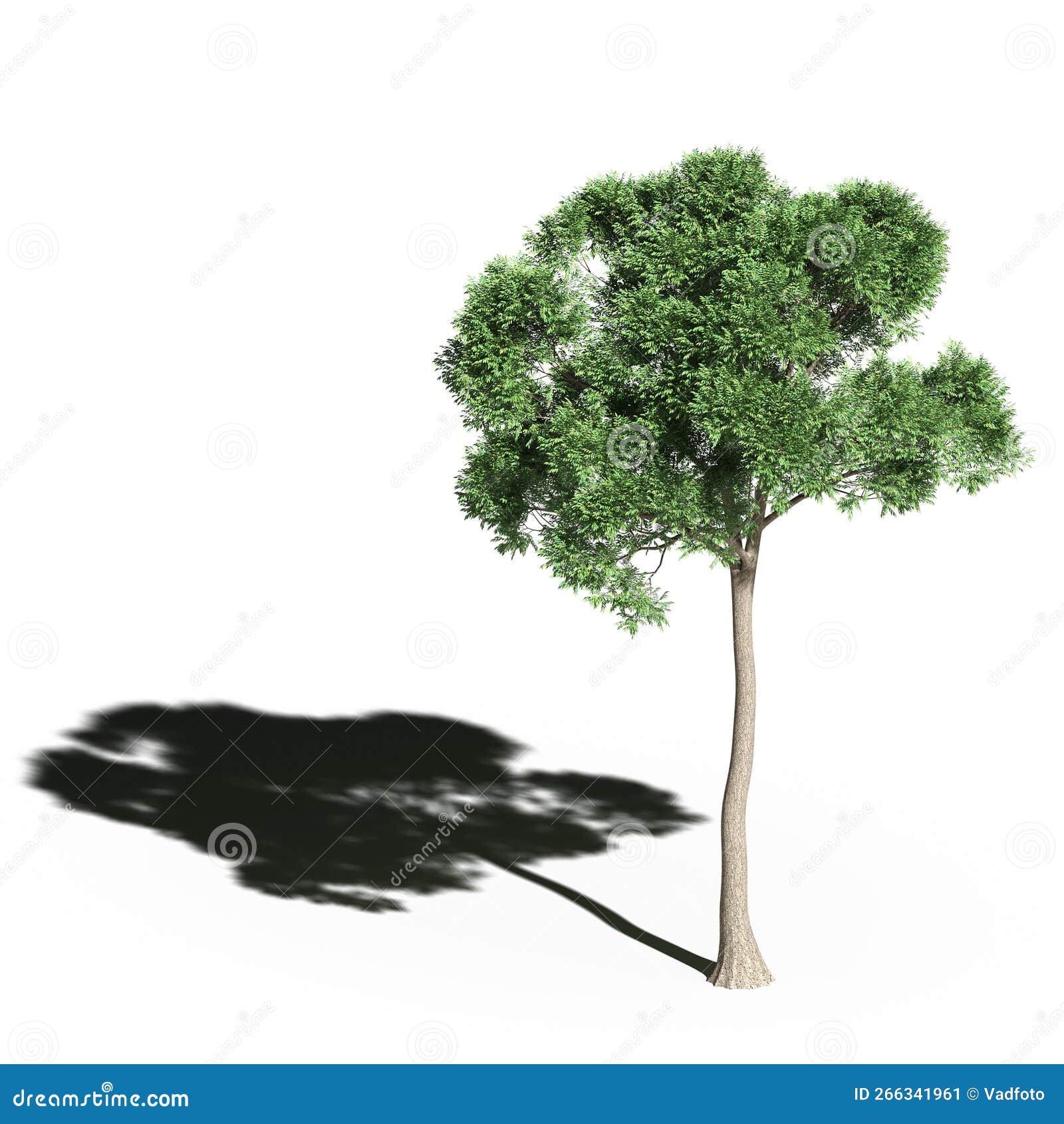 Large Tree with a Shadow Under it Stock Illustration - Illustration of ...