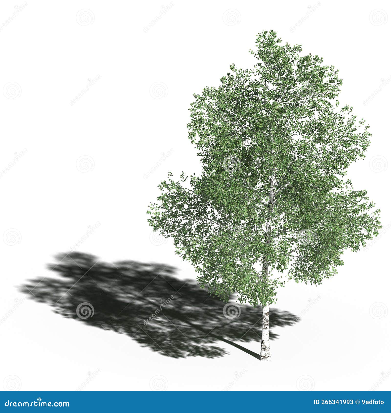 Large Tree with a Shadow Under it Stock Illustration - Illustration of ...