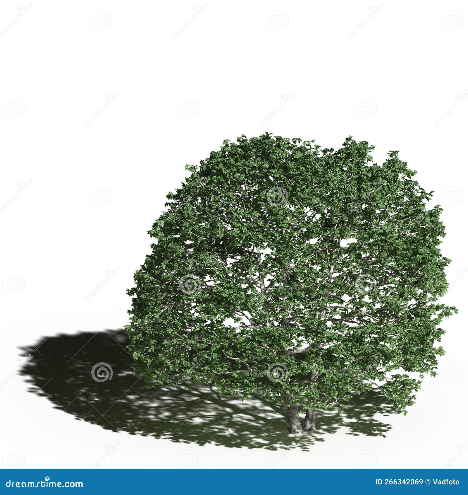 Large Tree with a Shadow Under it Stock Illustration - Illustration of ...